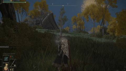 determination elden ring