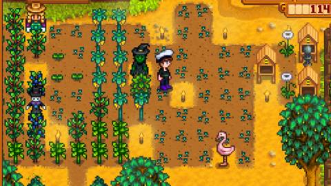 seed maker starfruit