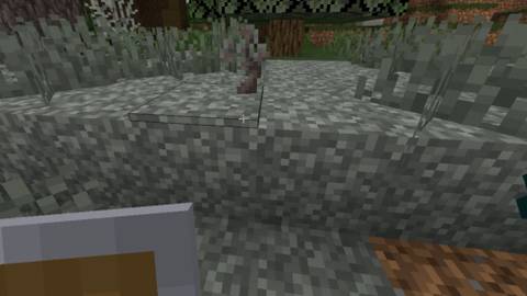 how to make trees in minecraft grow faster