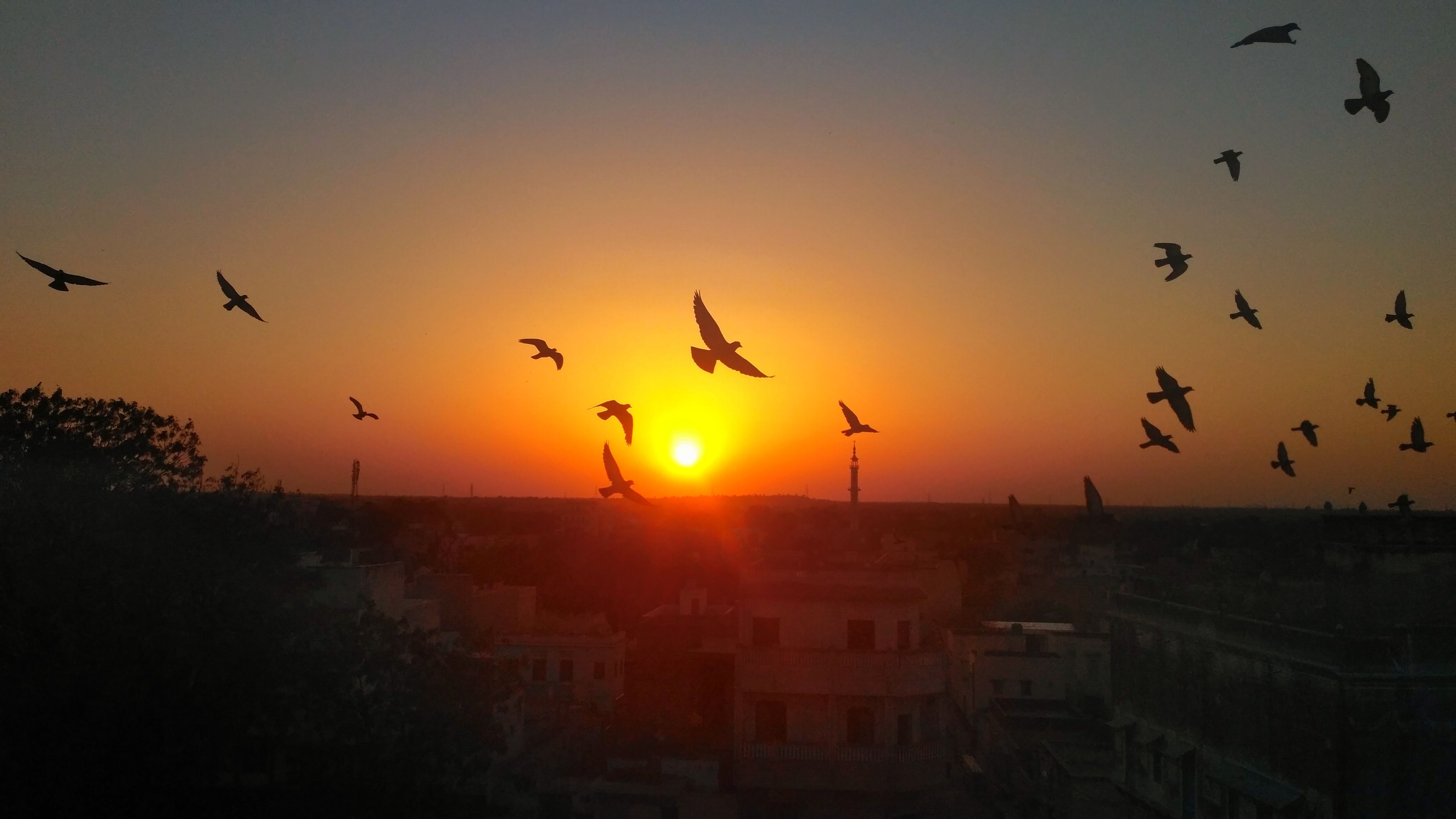 Sumit Agarwal | Game Rant