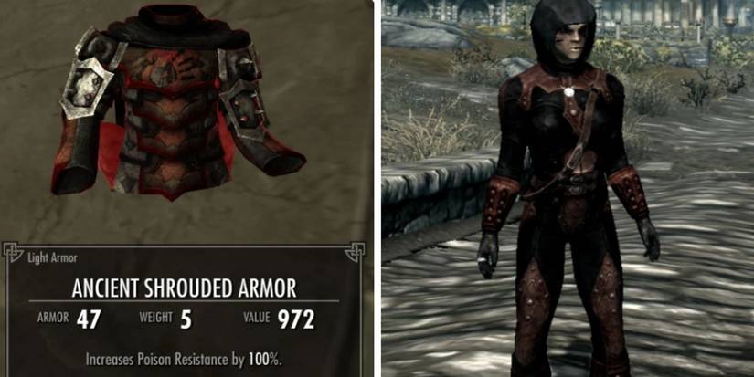 The 5 Best Armor Sets In Skyrim (& The 5 Worst)