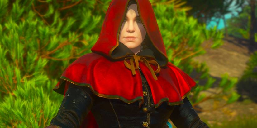 The Witcher 3: 5 Reasons Anna Henrietta Was A Great Duchess (& 5 Syanna ...
