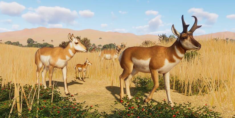 Best Animals For Multispecies Enclosures In Planet Zoo