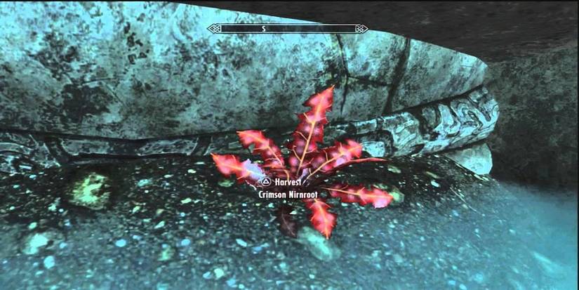 Skyrim: 10 Ridiculously Long Quests With Terrible Rewards