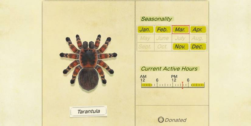 The Rarest Critters In Animal Crossing: New Horizons