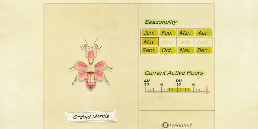 Catch These Animal Crossing: New Horizons Bugs Before May Ends