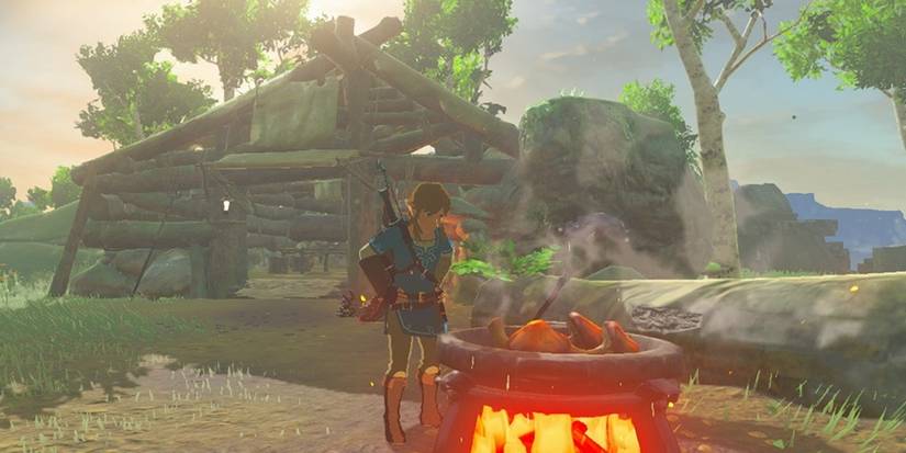 Breath of The Wild: 10 Hidden Details In The Zelda Game You Never Noticed