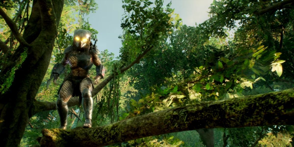 10 Strategies To Help Avoid Or Kill The Predator In Predator Hunting ...