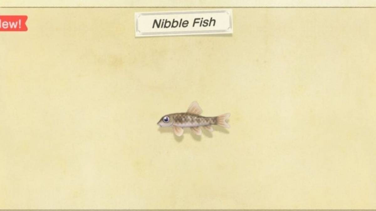 How to Catch Nibble Fish in Animal Crossing: New Horizons