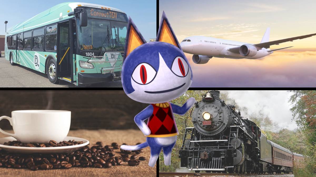 Animal Crossing: New Horizons - Who is Rover?