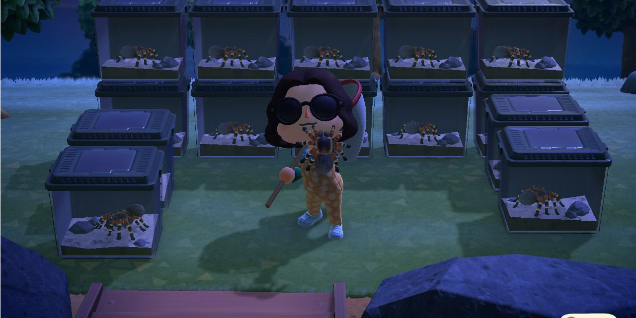 Animal Crossing: 12 Most Valuable Insects (& What They're Worth)