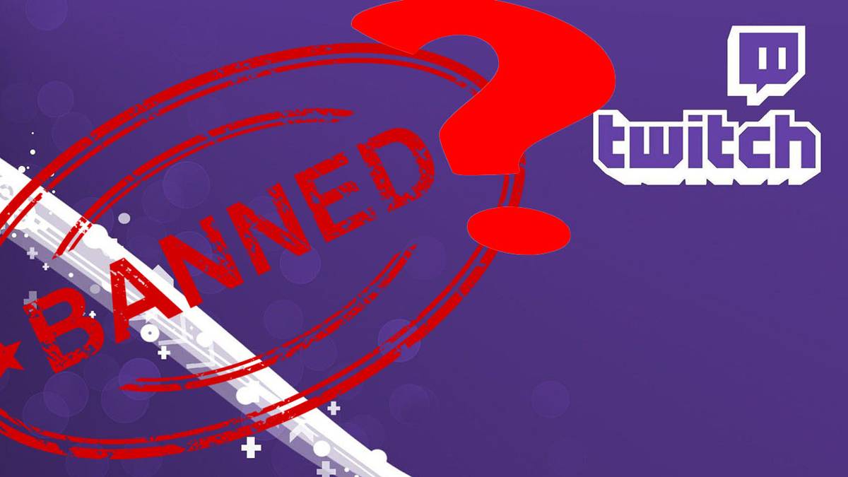 The Newest Alinity Twitch Drama Proves the Platform is Basically a High ...