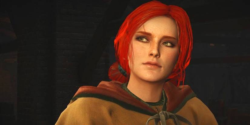 The Witcher 4: 10 Characters From The Books Who'd Make An Awesome Main