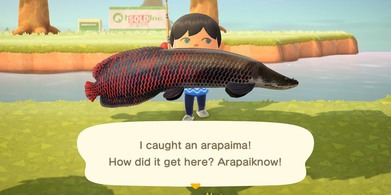 The 5 Best Fish Puns In Animal Crossing New Horizons (& The 5 Worst)