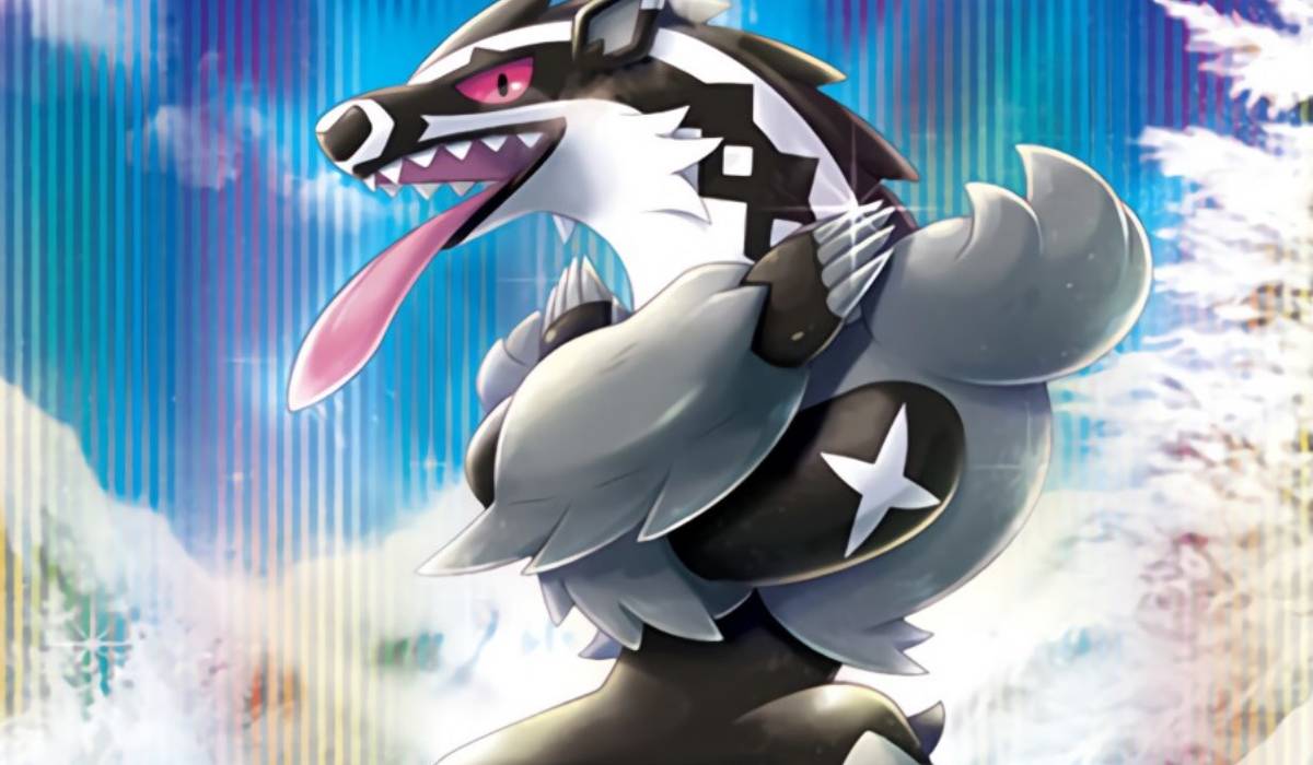 zigzagoon pokemon shield