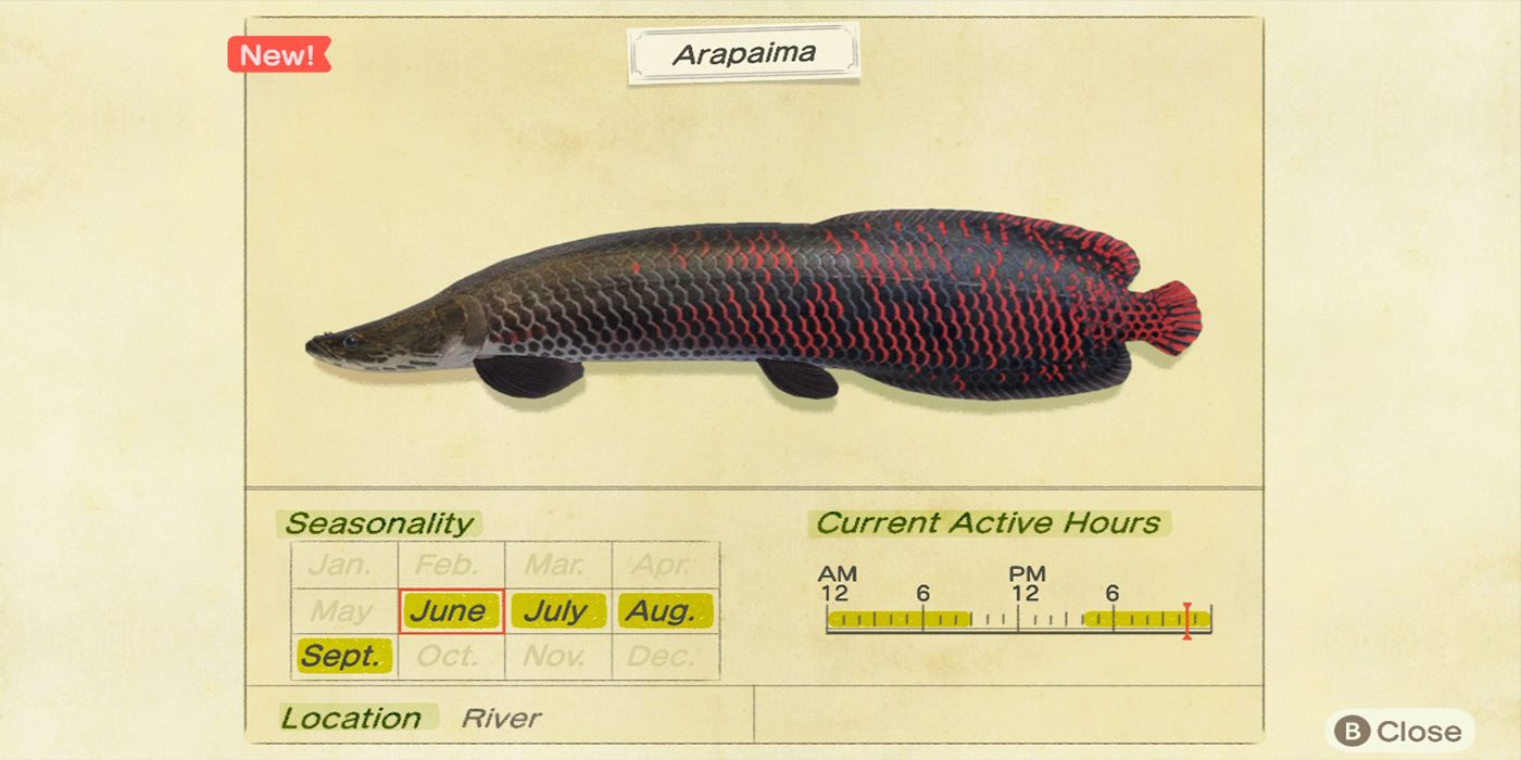 How to Catch an Arapaima in Animal Crossing: New Horizons