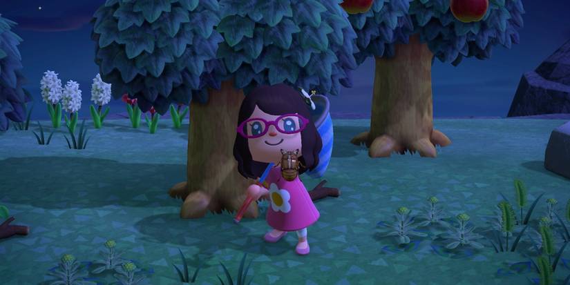 How to Catch A Cicada Shell In Animal Crossing: New Horizons