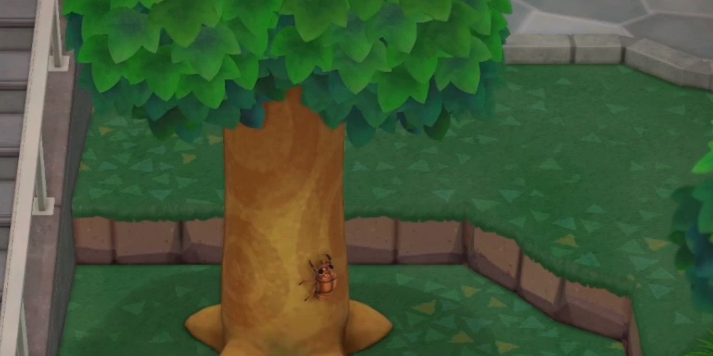 How to Catch A Cicada Shell In Animal Crossing: New Horizons