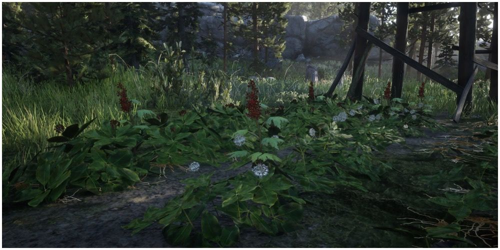 Red Dead Redemption 2: Everything You Need To Know About Mastering All ...