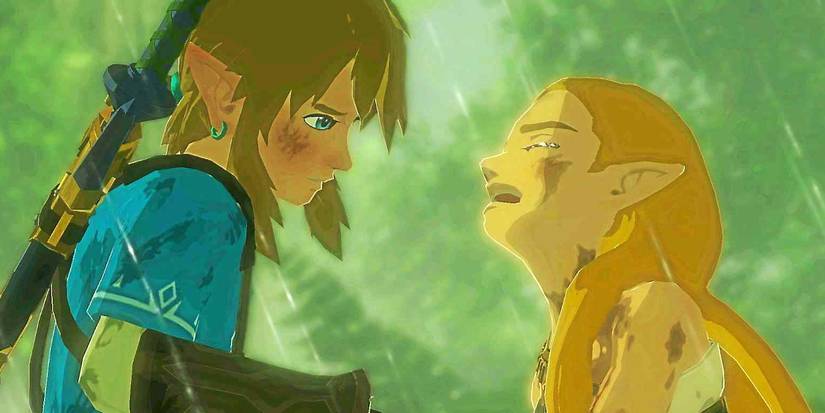 The Legend of Zelda: Breath of the Wild: 5 Things Fans Loved (& 5 They ...