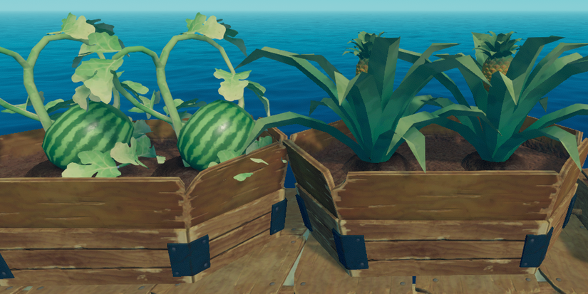 Raft: Everything You Need To Know About Finding Food