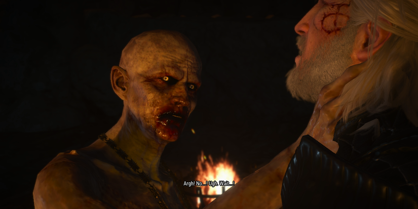 The 15 Rarest Enemies In The Witcher Series