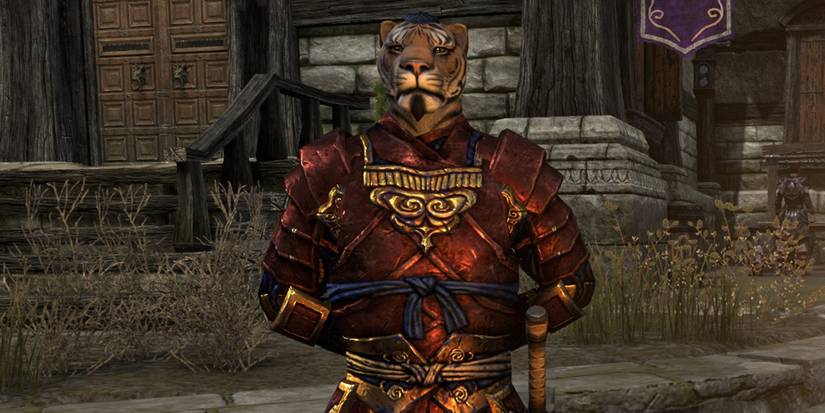 The Elder Scrolls: 10 Races From The Lore We Wish Were Playable
