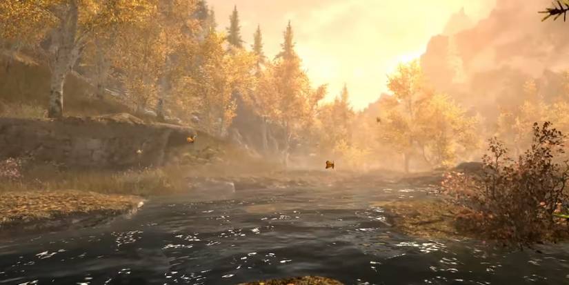 5 Reasons Nintendo Switch Has The Best Skyrim Console Port (& 5 It's PS4)