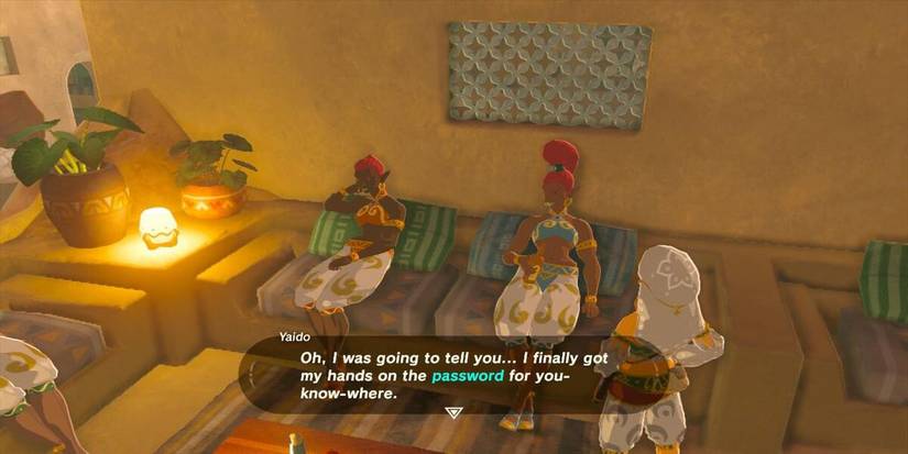 The Legend Of Zelda: 10 Things You Never Knew About The Gerudo