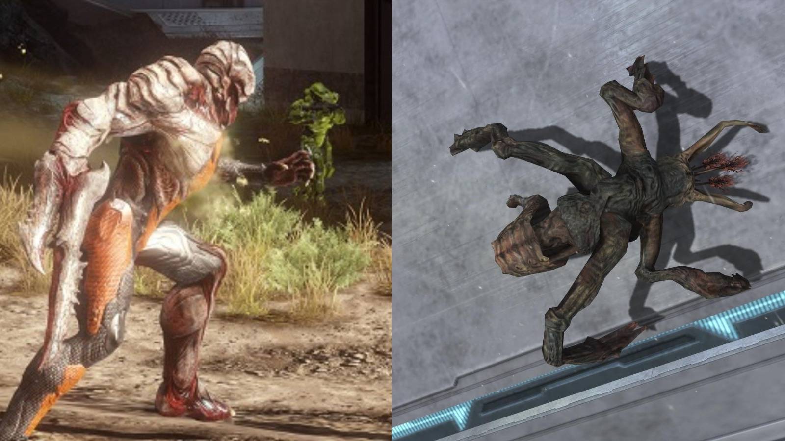 Halo: Every Form Of Flood, Ranked From Weakest To Strongest