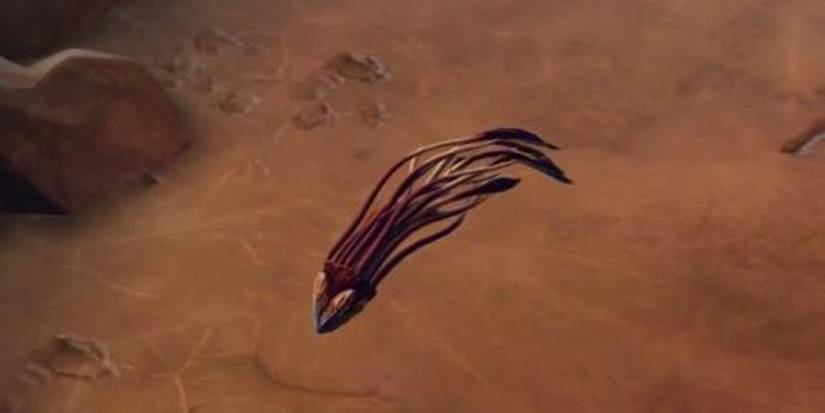 Halo: Every Form Of Flood, Ranked From Weakest To Strongest