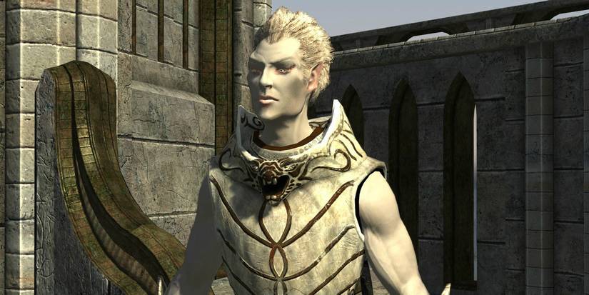 The Elder Scrolls: Explaining All the Different Types of Elves in the ...