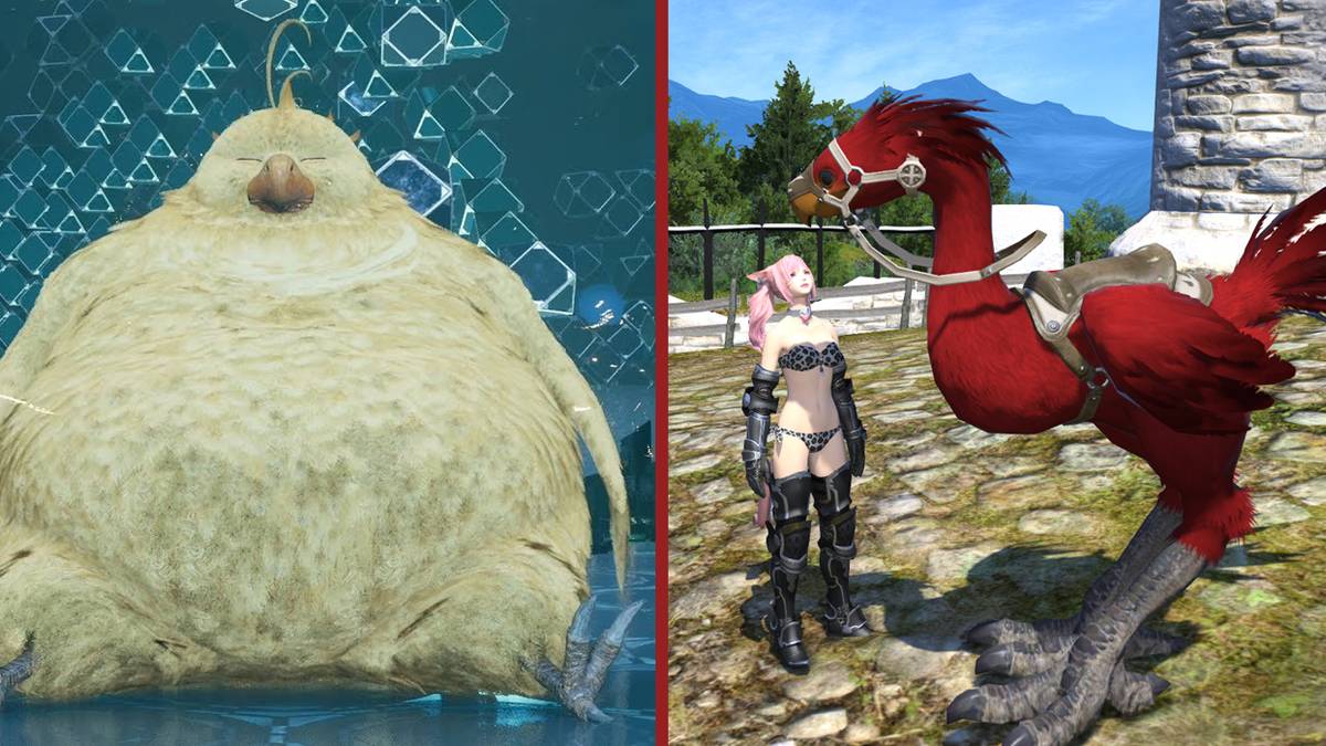 Final Fantasy: 10 Things That Make No Sense About Chocobos