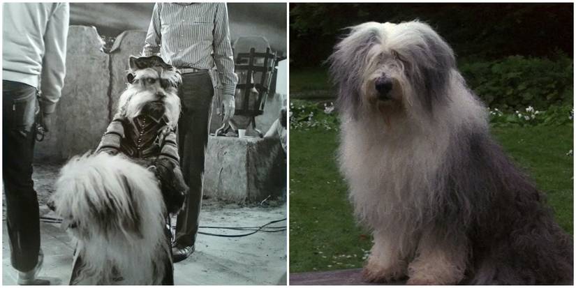 10 Things You Didn't Know About Jim Henson's Labyrinth