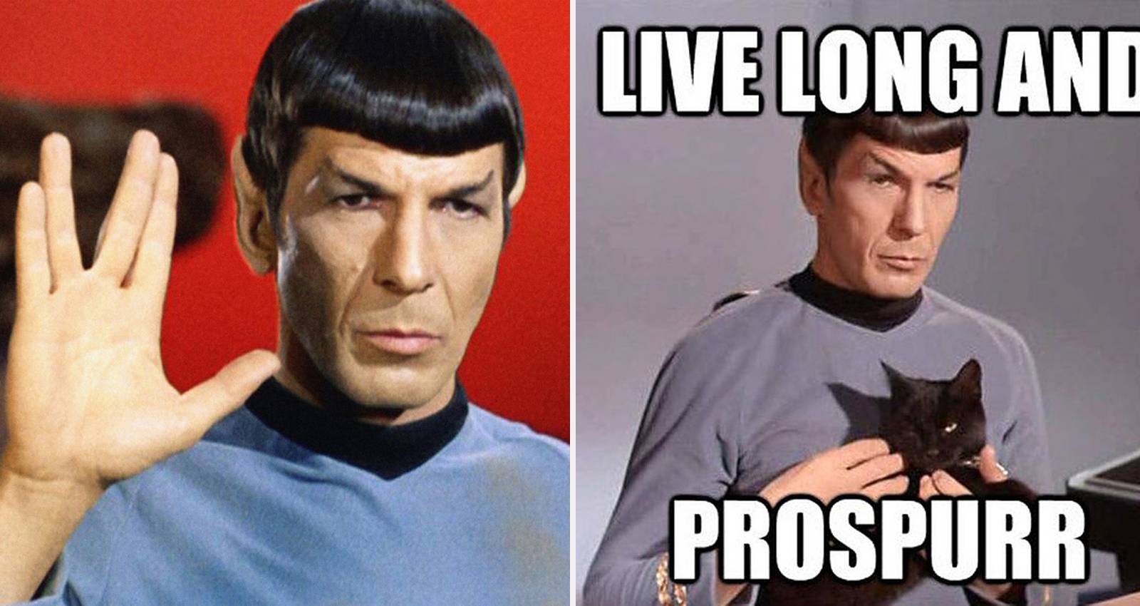 15 Spock Memes Only True Star Trek Fans Will Understand