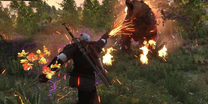 The Witcher 3: What Are Alternate Signs & How You Can Use Them
