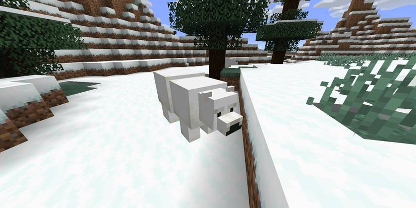 Minecraft: How To Tame Polar Bears