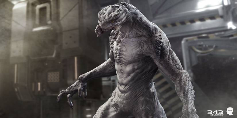 Halo: 10 Things You Didn't Know About The Sangheili