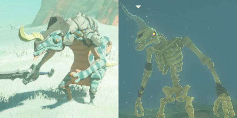 Breath Of The Wild: Complete Guide To Secret Of The Snowy Peaks (& The ...