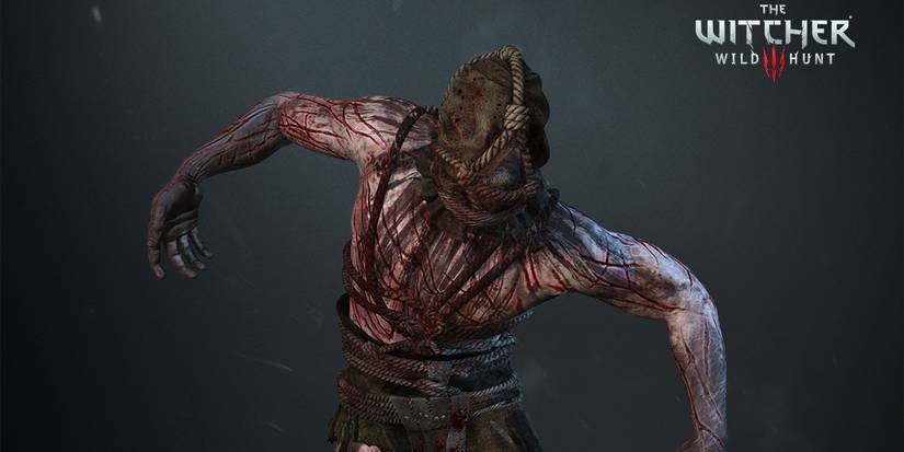 The Witcher 3: Every Kind Of Specter In The Game