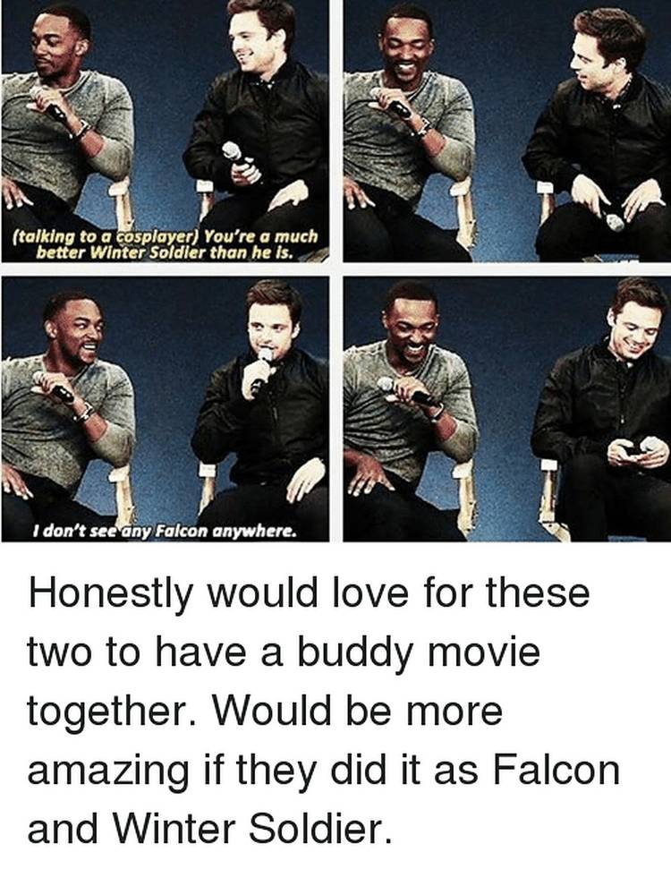 MCU: 10 Hilarious Falcon & Winter Soldier Memes