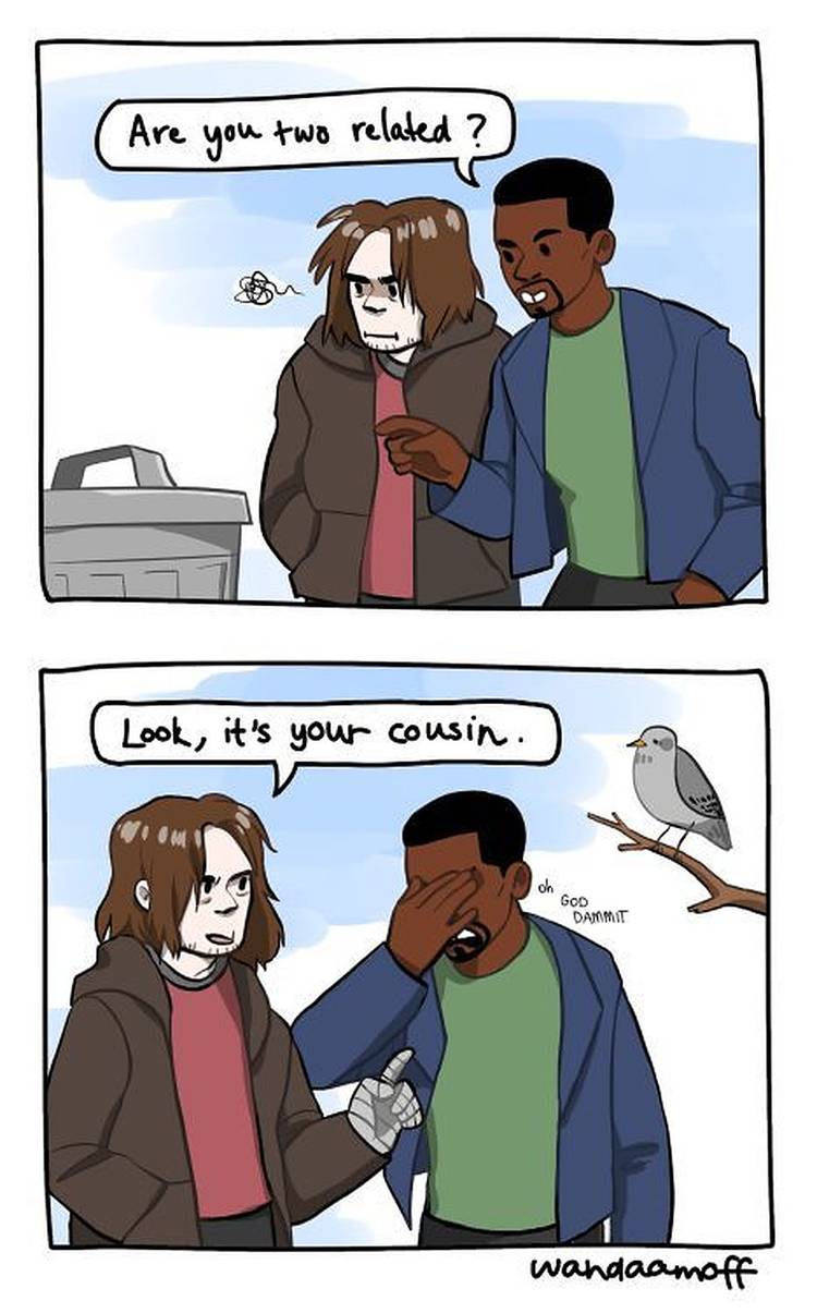 MCU: 10 Hilarious Falcon & Winter Soldier Memes