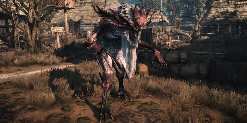 The Witcher 3: Every Kind of Vampire In The Game