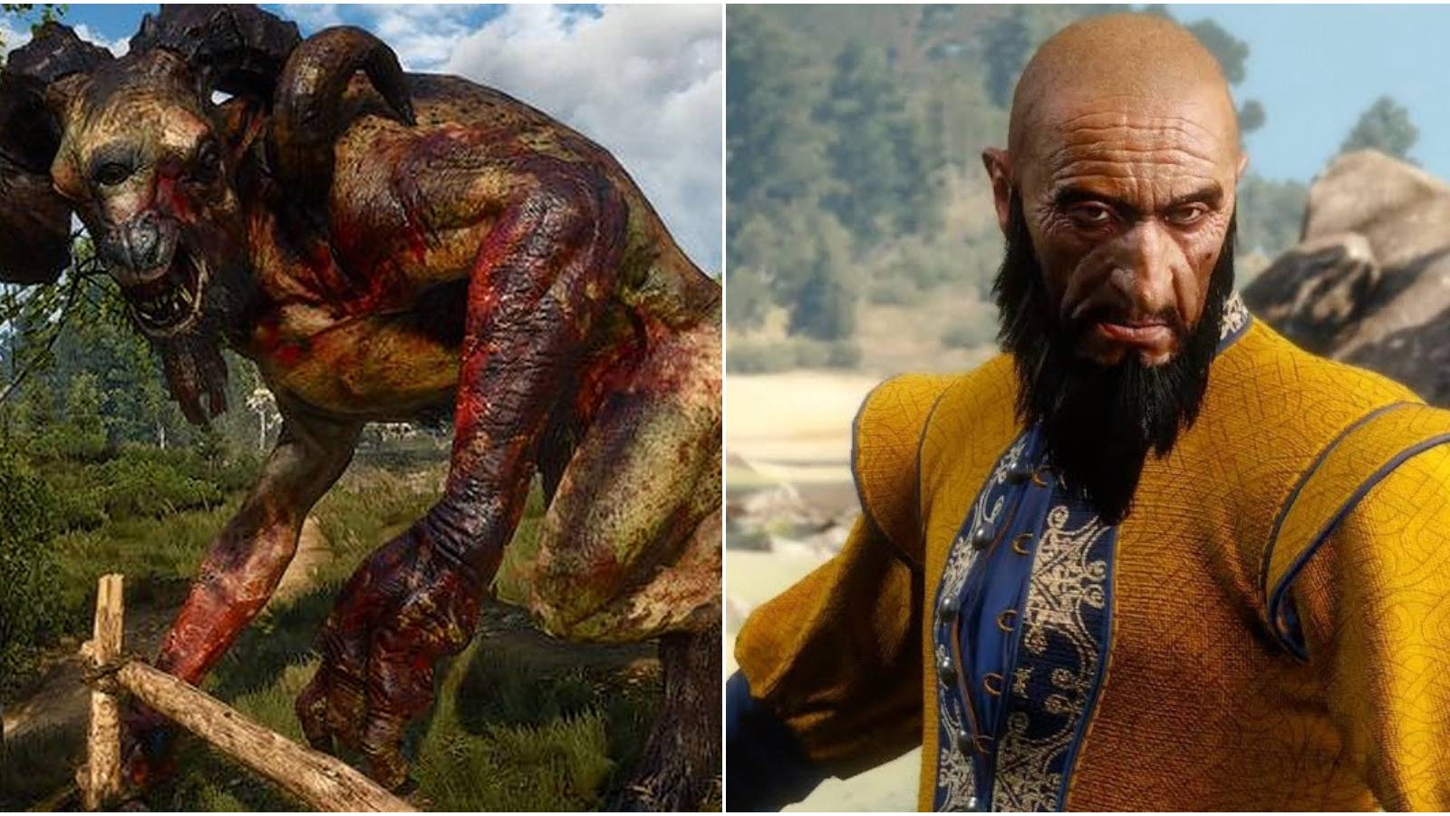 The 15 Rarest Enemies In The Witcher Series