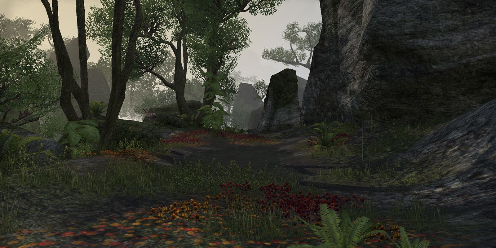 ESO: How To Get The Ring Of The Wild Hunt