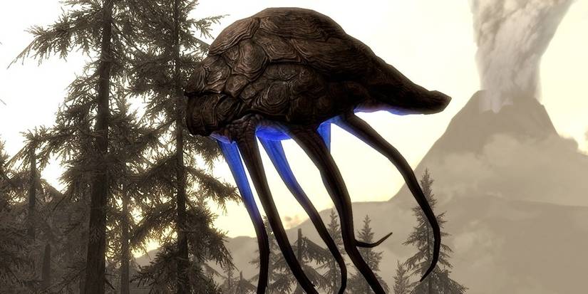 Skyrim: How To Get Netch Leather Armor