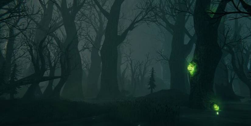 Valheim: How to Get Ancient Bark and What It's Used For