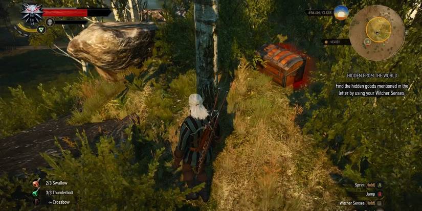 The Witcher 3: The 10 Best Treasure Hunts In Velen, Ranked
