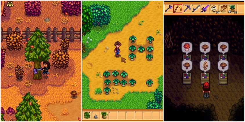 What is the Meadowlands Farm in Stardew Valley?