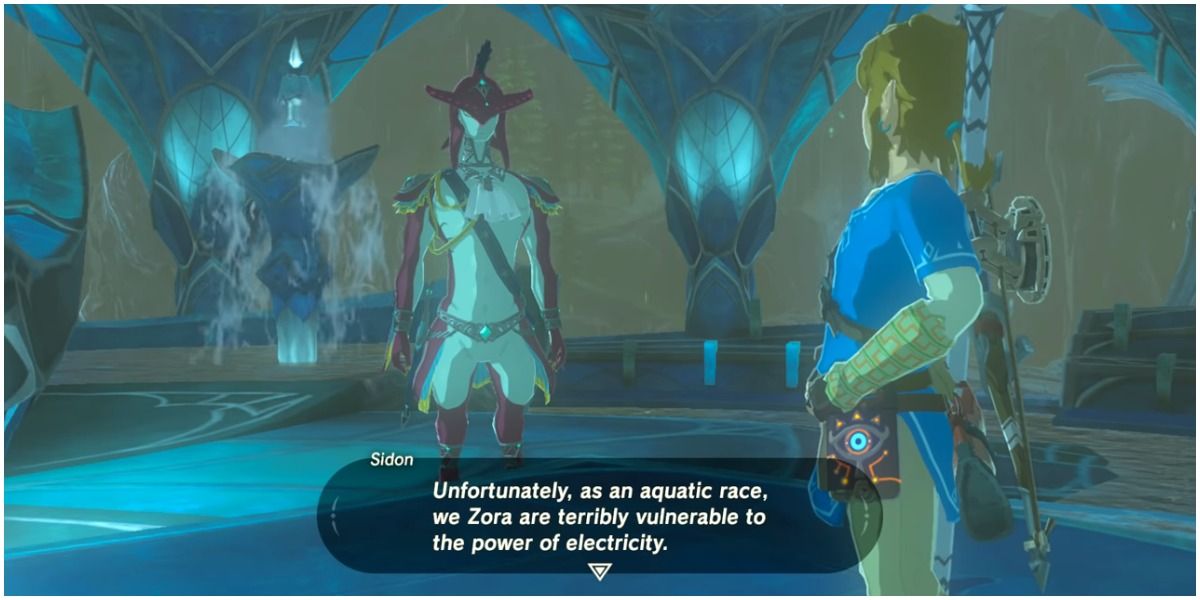 Breath Of The Wild: 6 Things You Didn't Know About The Zora